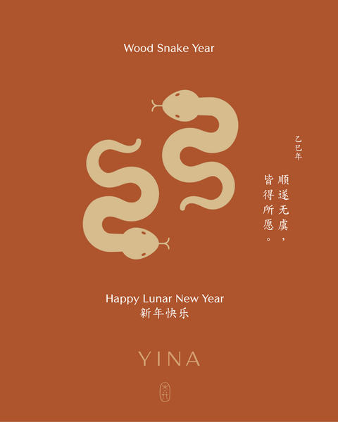Wood Snake 2025 – YINA